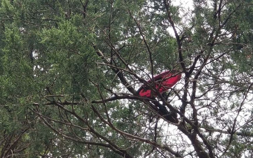 The Complete Guide to Not Hitting Trees in Disc Golf – DiscgolfNOW.com