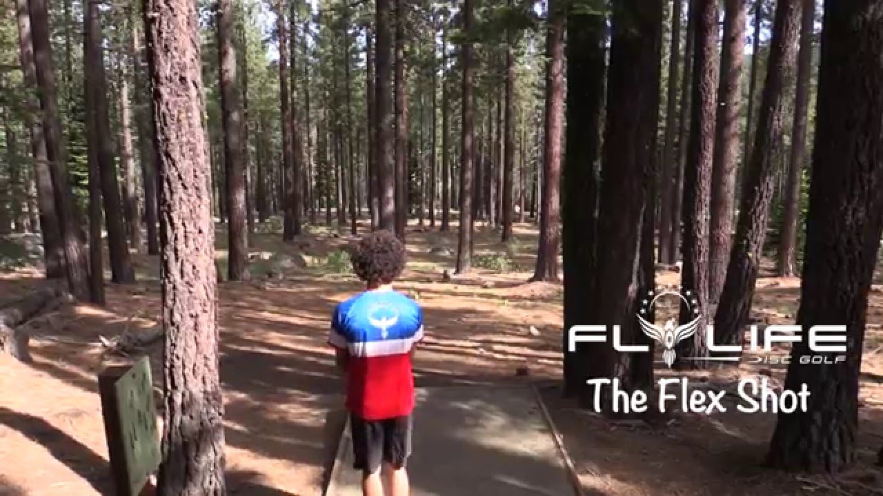 What’s the Difference Between a Hyzer and an Anhyzer? – DiscgolfNOW.com